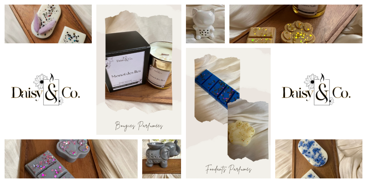 Bougies et Fondants Parfumés – Daisy & Co.